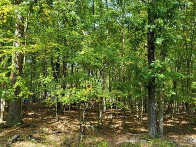 Gingerbread Ln #,east Stroudsburg, Plot For Sale