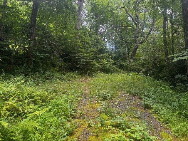 Gingercake Rd, Newland, NC 28657
