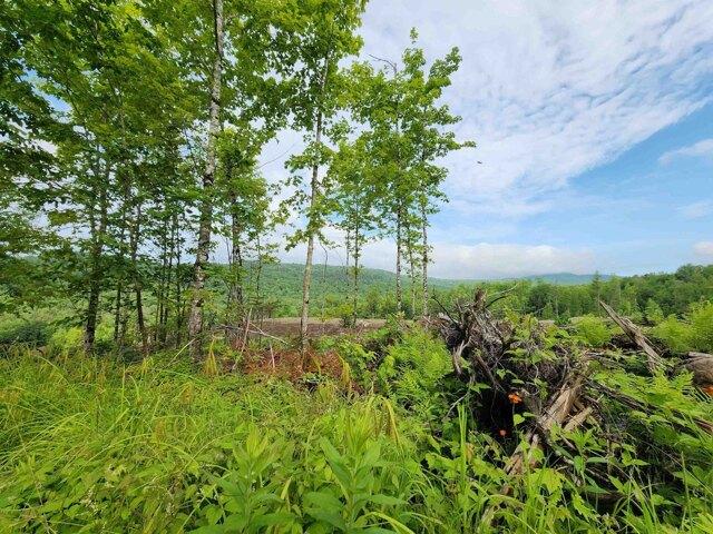 Ginnie Ln Lot,errol, Plot For Sale