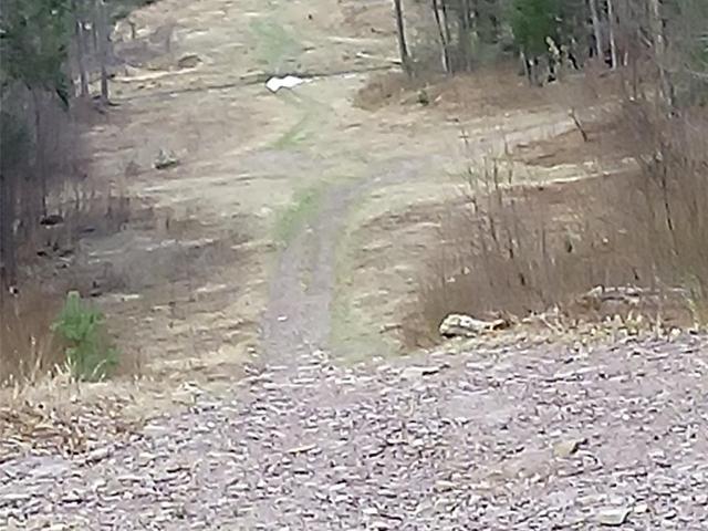Gibber Road