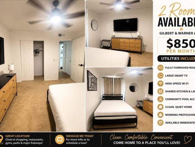 Gilbert & Warner Room for Rent