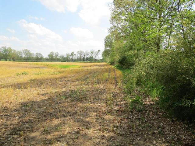 Giles Road # C