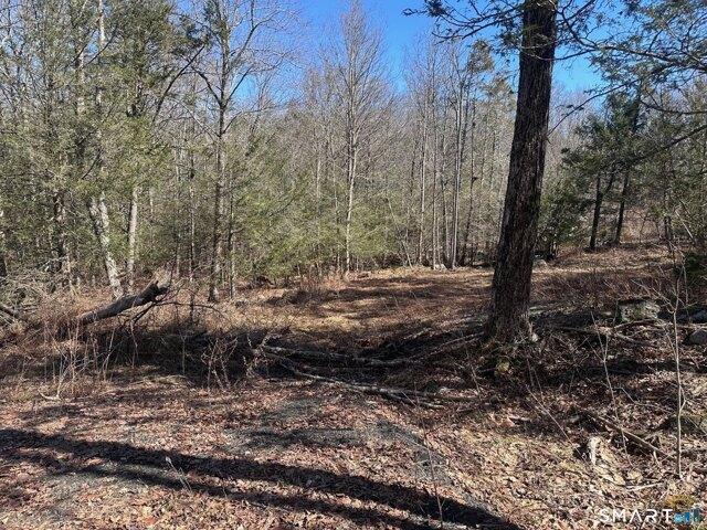 Gillette Rd, New Hartford, Plot For Sale