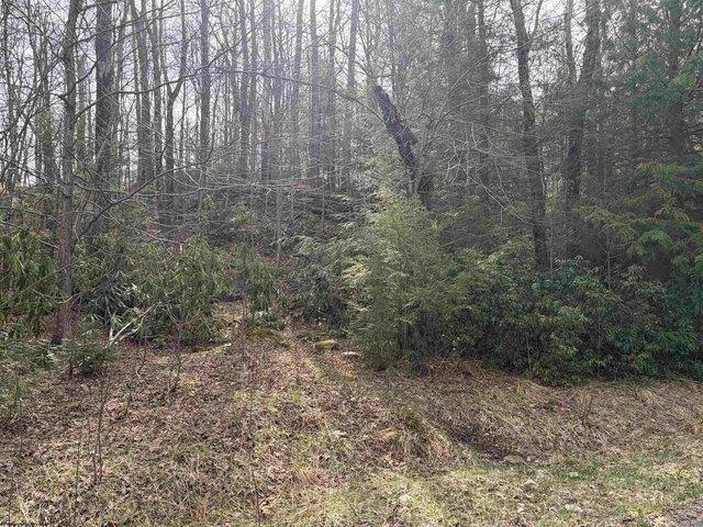 Gondola Ct Lot 81, Davis, WV 26260