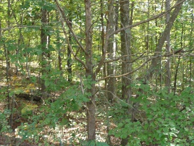 Goodwin Rd / Walker Brow Rdg, Cleveland, TN 37312