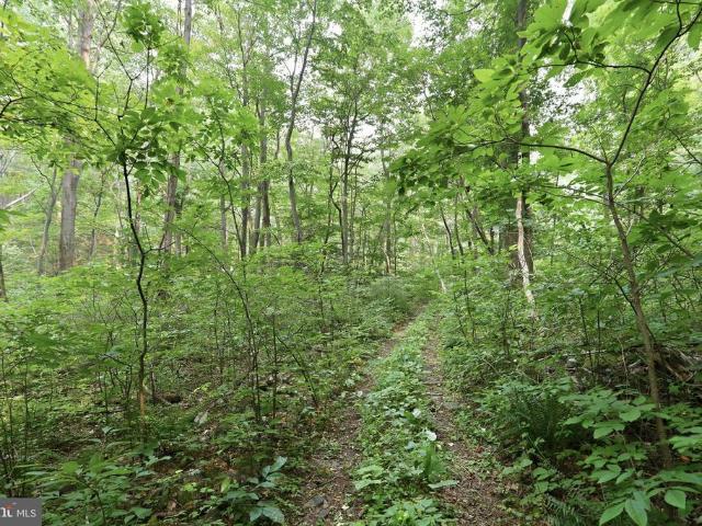 Gooney Manor Loop