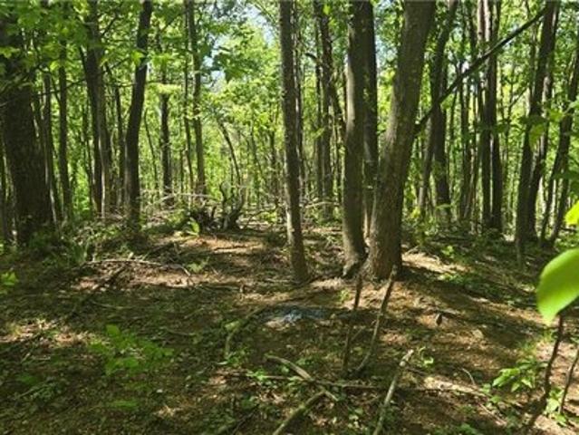Goose Creek Ln, Ararat, VA 24053