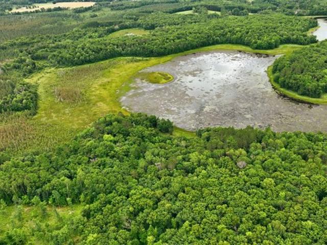 Goose Lk, Spooner, WI 54801