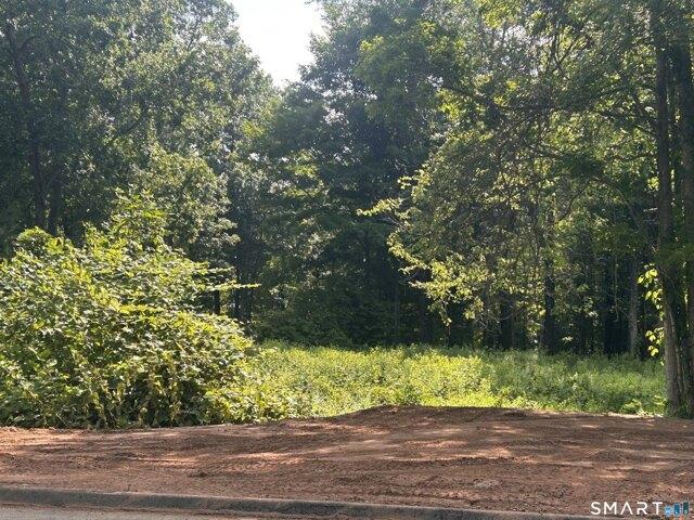 Goose Ln, Tolland, Plot For Sale