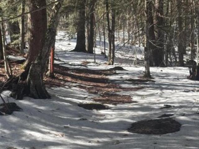Goose Pond Rd Lot,windham, Plot For Sale