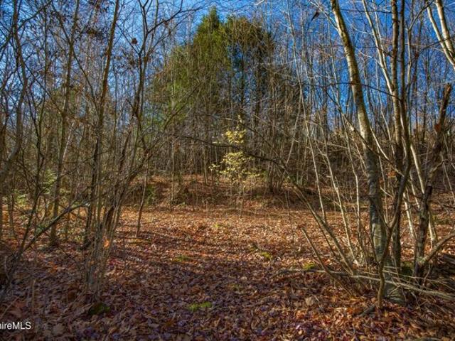 Goose Pond Rd, Tyringham, Plot For Sale