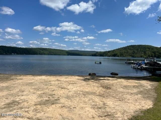 Goose Pond Rd, Tyringham, Plot For Sale