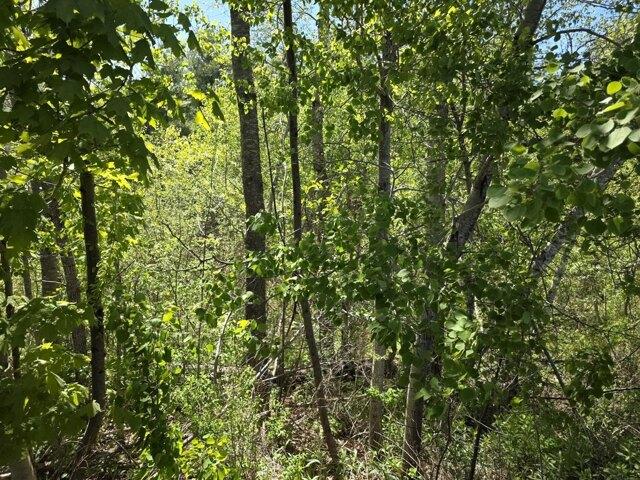 Goose River Ests, Swanville, Plot For Sale