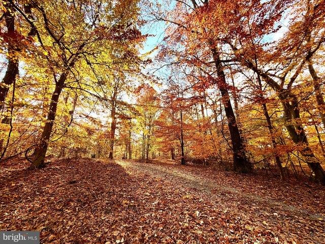 Goaway Rd, Hedgesville, WV 25427