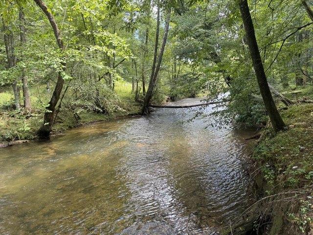 Gobbler Knob Lot 45, Suches, GA 30572