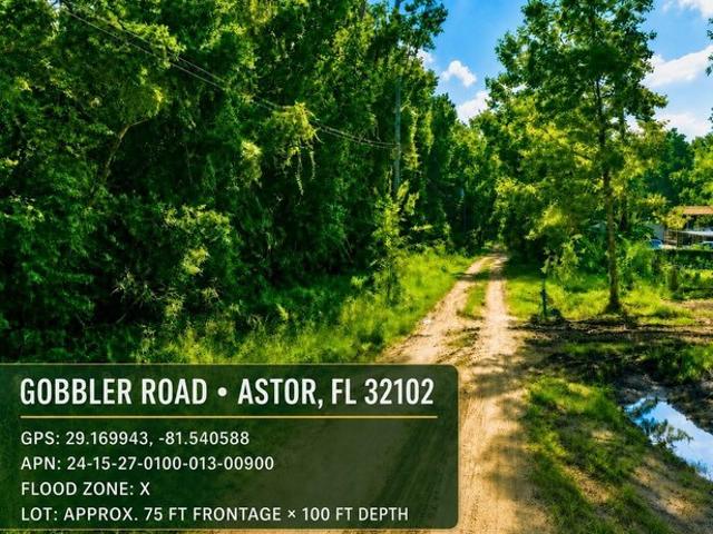 Gobbler Rd, Astor, FL 32102