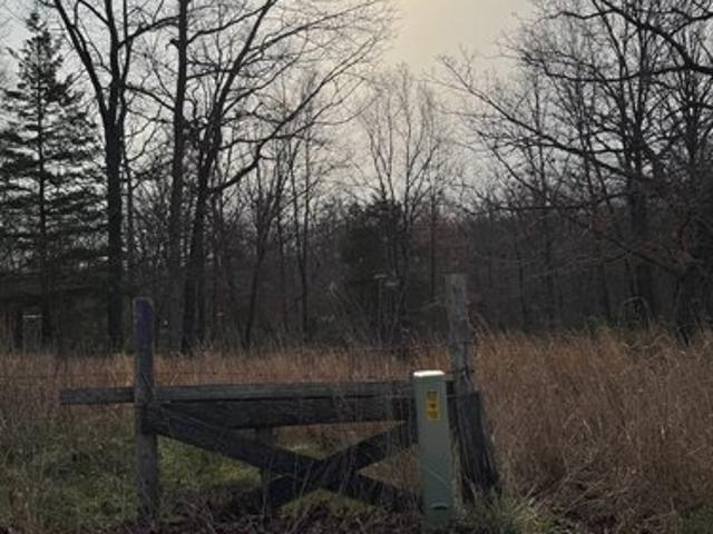 Gobblers Knob Rd, Steelville, MO 65565