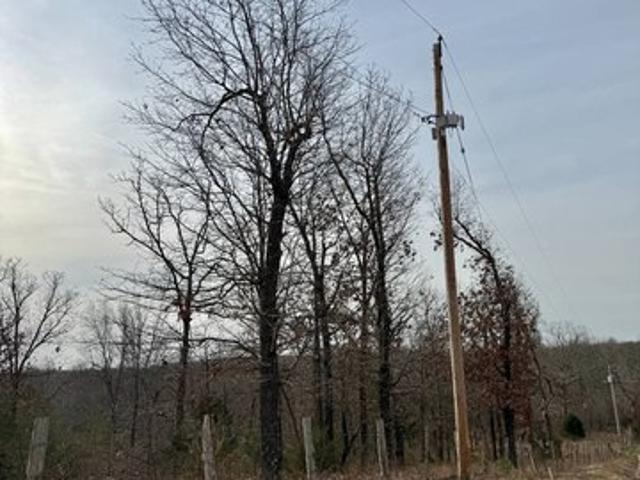 Gobblers Knob Rd, Steelville, MO 65565