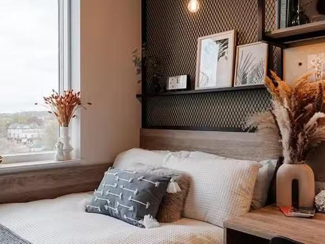 Gobritanya Your TRIBE Southwark Premium En suite