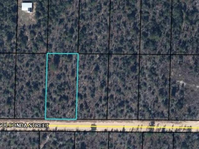 Golconda St, Alford, FL 32420