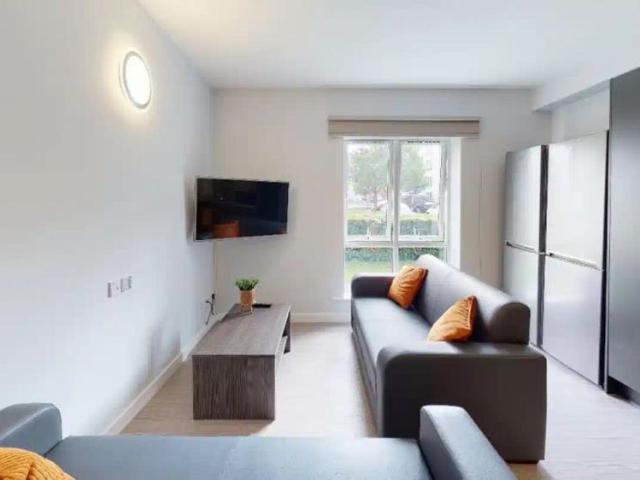 Gold Mini Studio