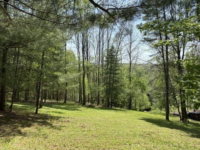 Gold Coast Rd, Bridgewater, Plot For Sale