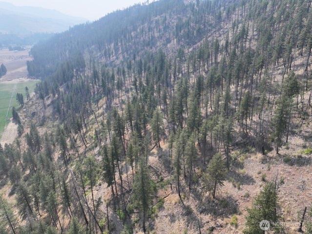 Gold Creek Loop Rd, Carlton, WA 98814