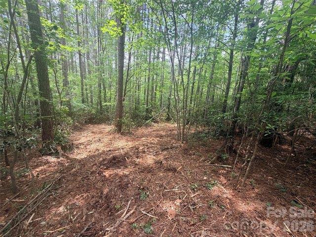 Gold Creek Pt Unit 4, Union Mills, NC 28167