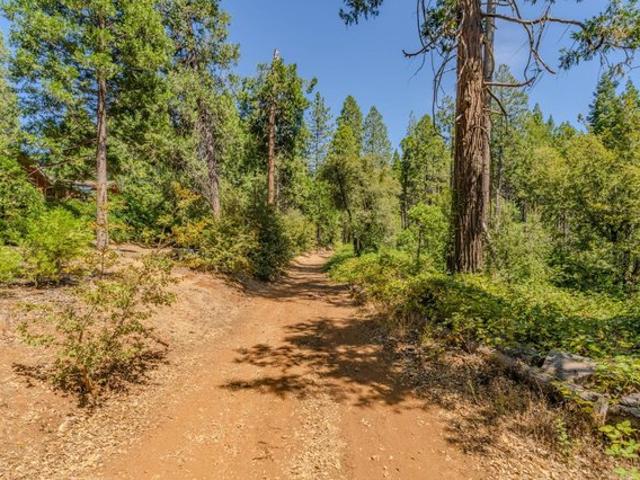 Gold Creek Trl, Volcano, CA 95689
