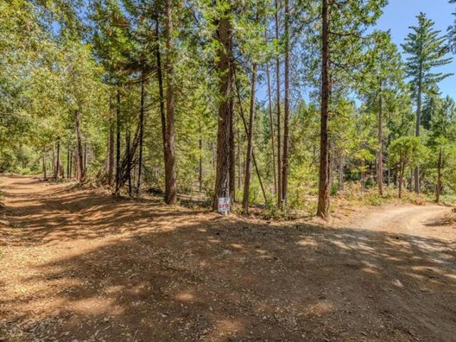 Gold Creek Trl, Volcano, CA 95689