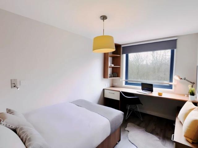 Gold Ensuite Lower Level