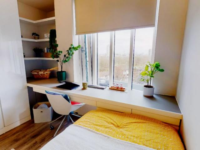 Gold Studio