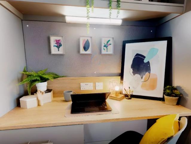 Gold Studio