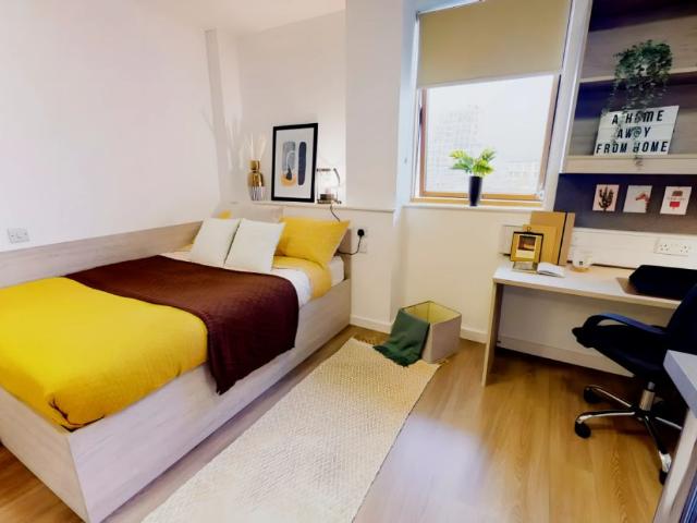 Gold Studio