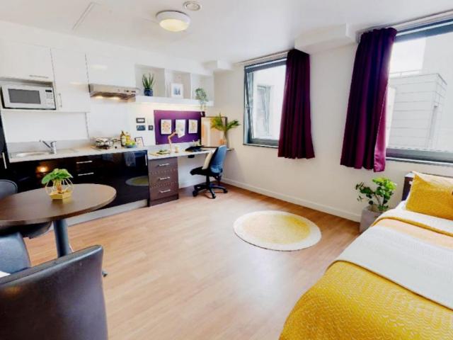Gold Studio
