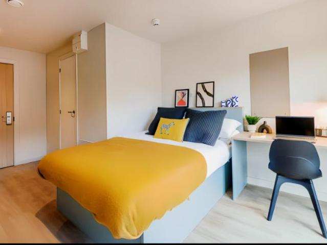 Gold Studio With Terrace