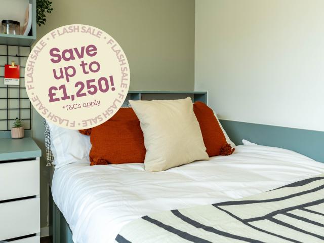 Gold Studio at The Brook, Lower. Studio to rent £1,560 pcm £360 pw