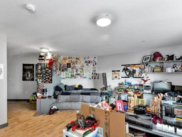 Gold Studio, Babington Lane, Studio Flat For