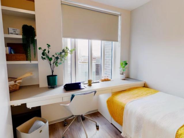 Gold Studio Deluxe