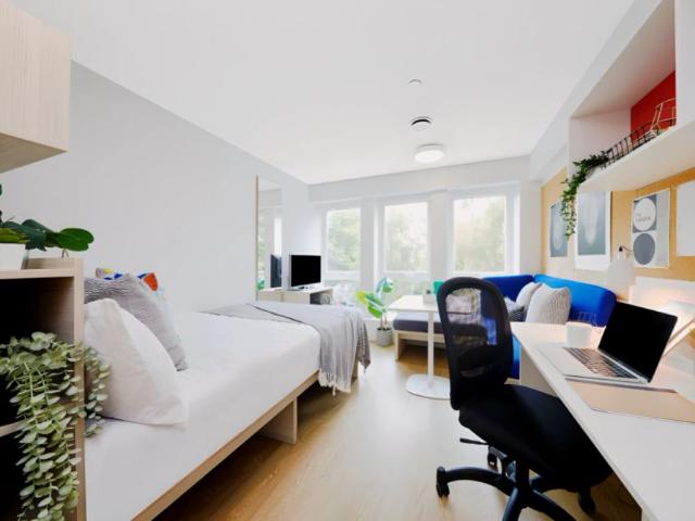 Gold Studio – Park View