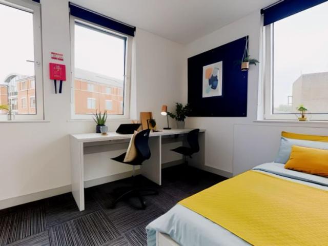 Gold Studio Plus