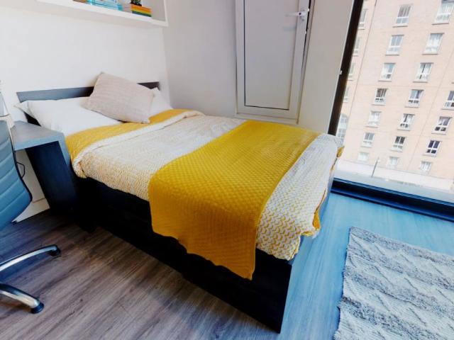 Gold Studio Plus