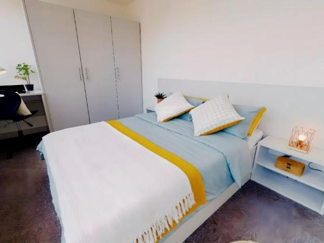 Gold Studio Plus