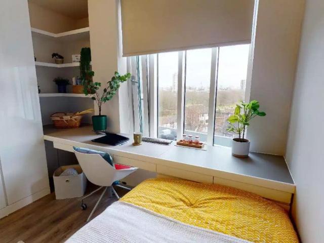 Gold Studio Premium