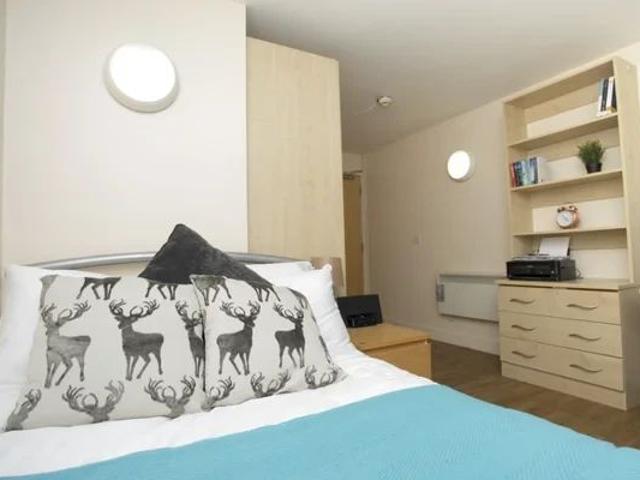 Gold Studio Single Occupancy