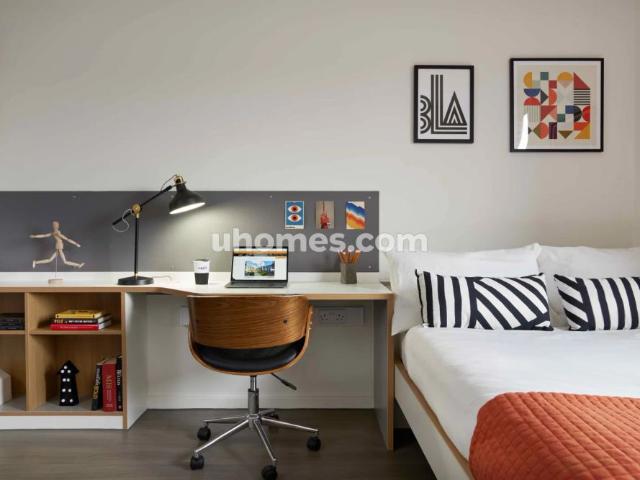 Gold Studio Single Occupancy