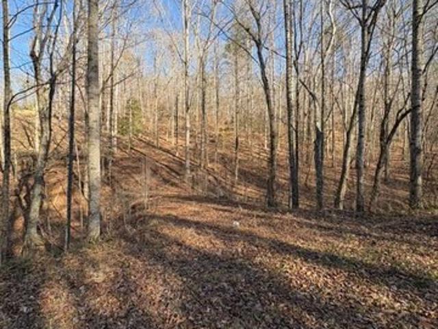 Gold View Dr, Dahlonega, GA 30533