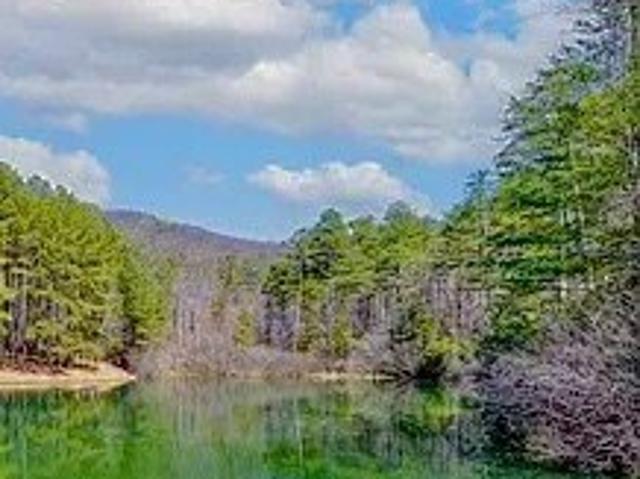 Golden Delicious Rd, Clarkesville, GA 30523