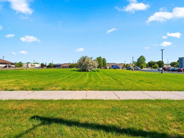 Golden eagle drive