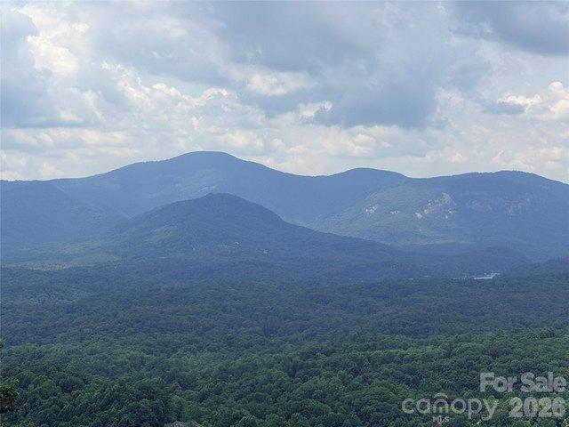 Golden Ridge Dr Unit 133, Lake Lure, NC 28746